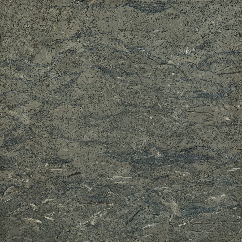 Anthony Gray - Limeport Limeport